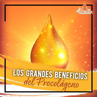LOS GRANDES BENEFICIOS DEL PROCOLÁGENO – Artemisa Productos Naturales